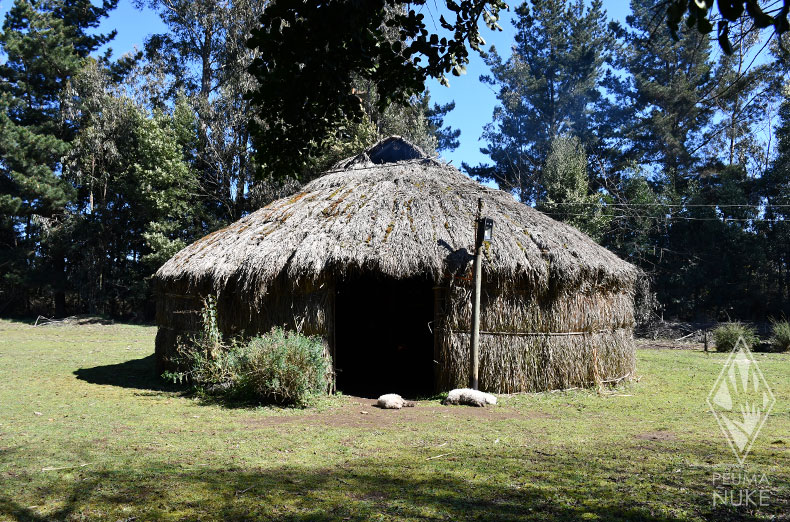 Turismo Mapuche y Gastronomía